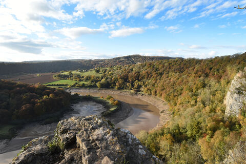 Lancaut | Gloucestershire Wildlife Trust