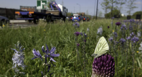 Strategic and Local Plan (SLP) | Gloucestershire Wildlife Trust
