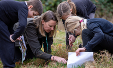 Hedgehog FAQs | Gloucestershire Wildlife Trust