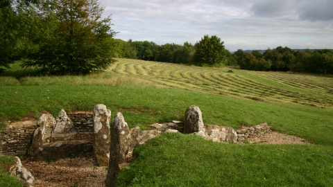 Coaley Peak | Gloucestershire Wildlife Trust