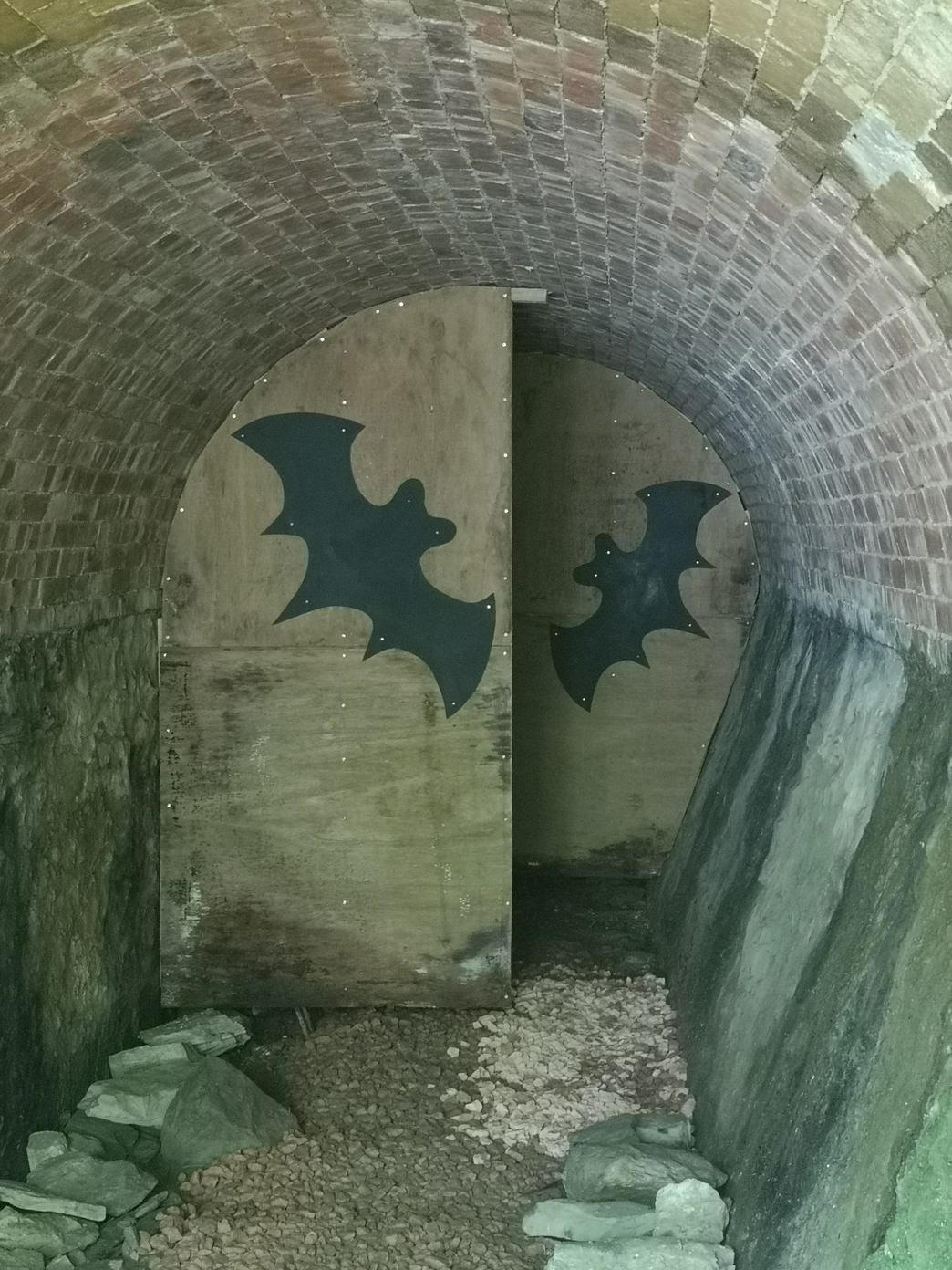 Reflecting on a year as a Wild Trainee | Gloucestershire Wildlife Trust