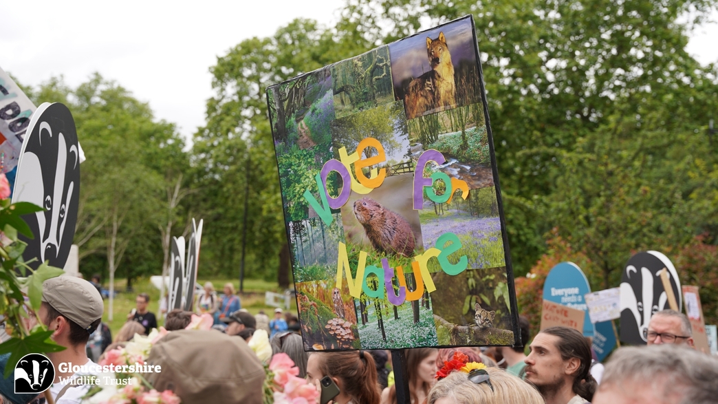 Restore Nature Now 2024 | The Biggest Public Demonstration for Nature ...