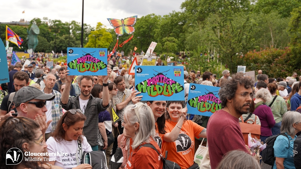 Restore Nature Now 2024 | The Biggest Public Demonstration for Nature ...