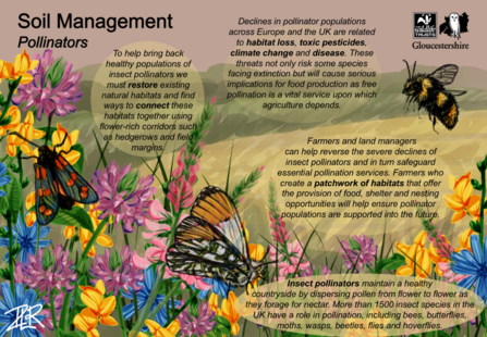 Pollinators and Farming | Gloucestershire Wildlife Trust