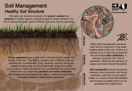 Soil Management | Gloucestershire Wildlife Trust
