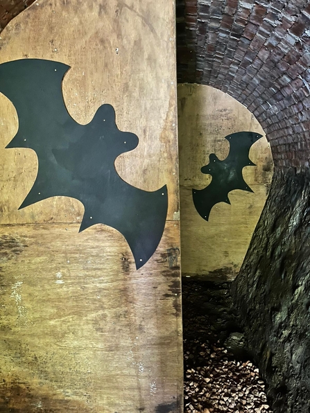 Reflecting on a year as a Wild Trainee | Gloucestershire Wildlife Trust