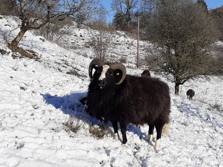 Home | Gloucestershire Wildlife Trust