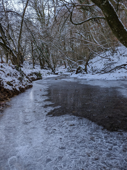 Home | Gloucestershire Wildlife Trust