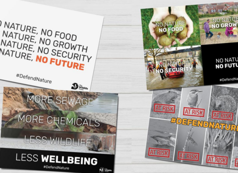 Defend Nature | Gloucestershire Wildlife Trust
