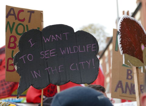Restore Nature Now Placard Design Competition | Gloucestershire ...